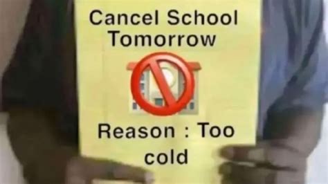 Petition · Cancel School On 1172024 United States ·