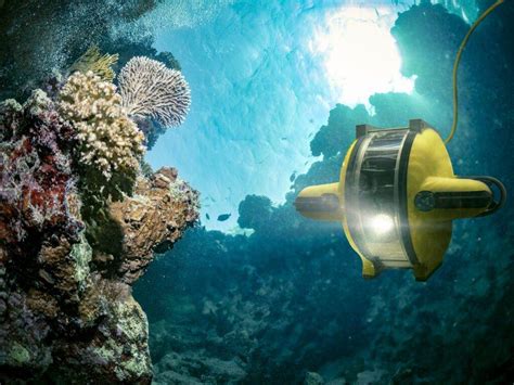 Deep Dive On How Do Underwater Robots Relate To Science Go Roboted
