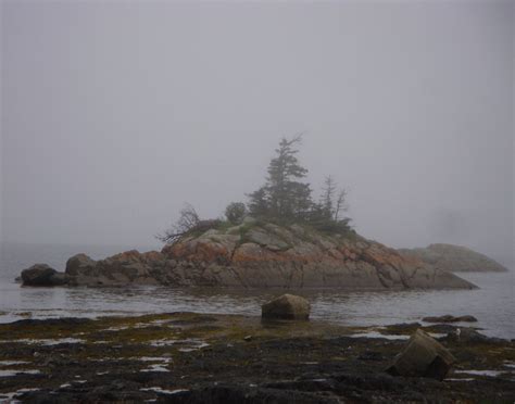 Ewa Monika Zebrowski And Anna Lois Dawson Harrington Light And Fog