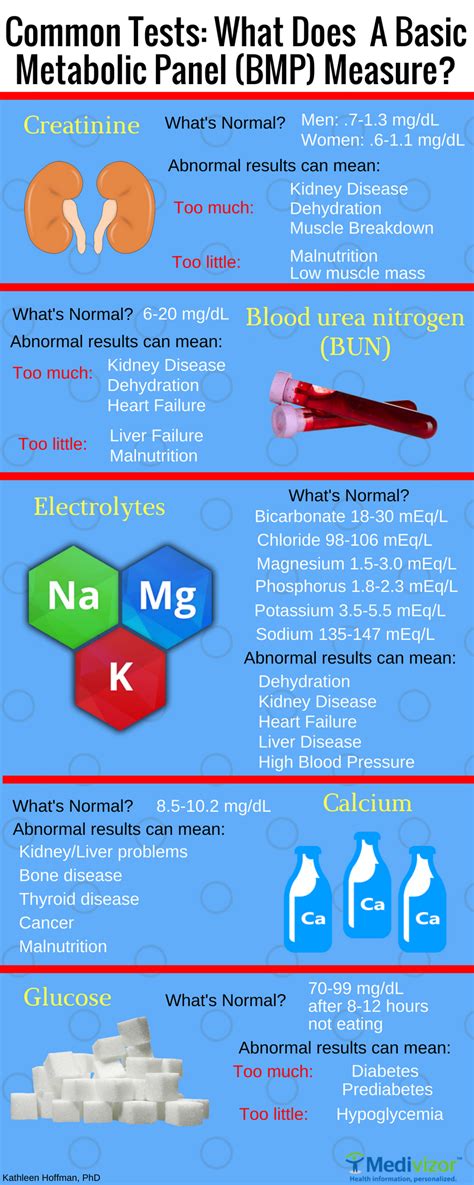 Basic Metabolic Panel What Is A Metabolic Panel Vnums