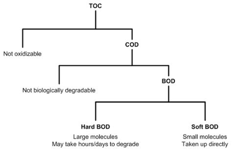 What Is The Relationship Between Bod Cod And Toc In Stp