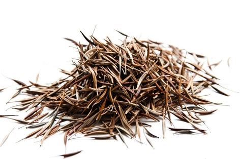 Cosmos Flower Seed Collection How To Harvest Seeds From Cosmos