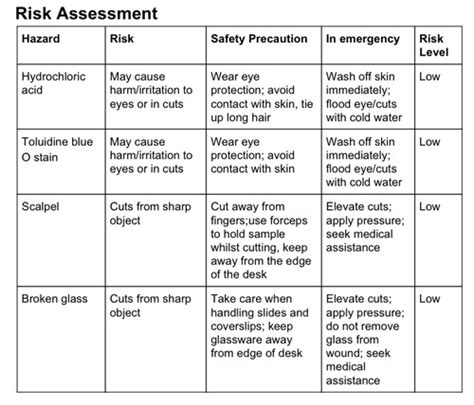 Root Tip Squash Rp 2 Flashcards Quizlet