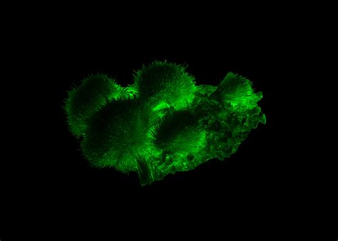 Radioactive Minerals On Behance