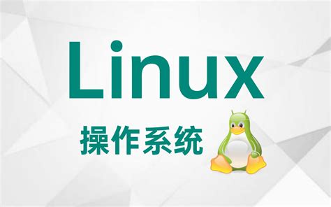 这可能是b站讲的最好的 Linux教程，从入门到精通到精通全套完整版（适合 Linux 入门、初学linux小白） 视频下载 Video
