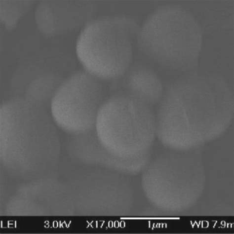 Junfeng Chen Doctor Of Engineering Qufu Normal University Department Of Envionmental