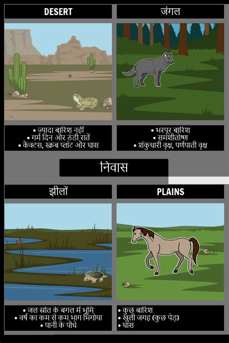 Frayer Model Habitats Storyboard By Hi Examples