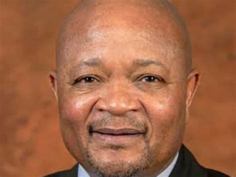 Mchunu Backs Inquiry But Parliament Sharpens Its Knives Scrollaafrica