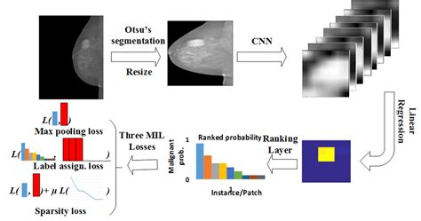 The Proposed Deep Multi Instance Network Framework First We Use Download Scientific Diagram