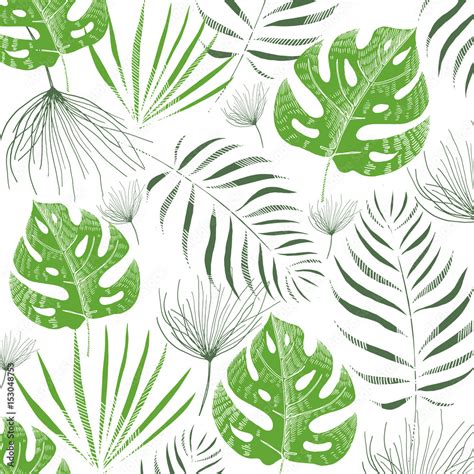 Botanical Illustration Tropical Leaves Jungle Background Stock Vector