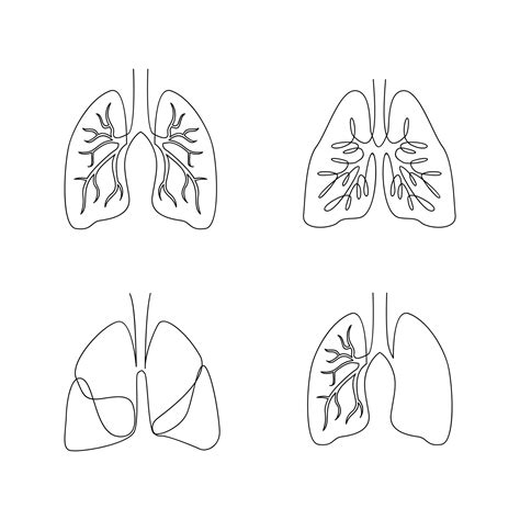 Lung Single Line Illustration Drawing 36177010 Vector Art At Vecteezy