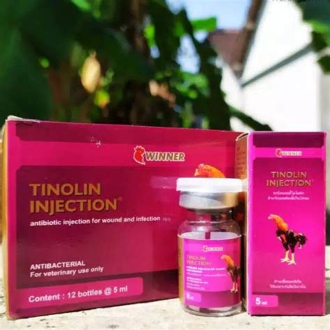 Jual Tinolin Injection Obat Ayam Sesudah Tarung Adu Jalu Shopee Indonesia