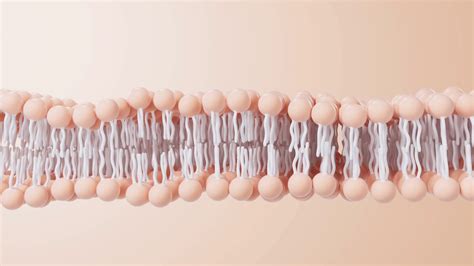 Cell Membrane Structure Background 3d Stock Motion Graphics Sbv