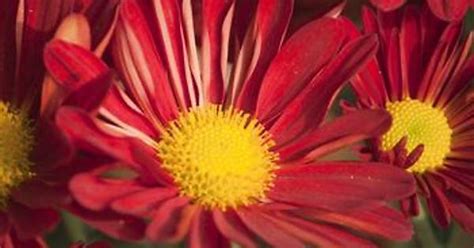 巩义代开文具发票 Imgur