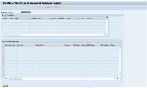 FPCGA SAP Tcode Display Master Data Groups