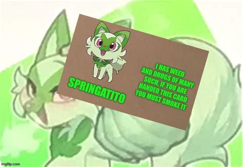 Springatito Card Imgflip