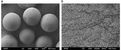 The Design Of Protein Separation Involves The Differences In Chemical