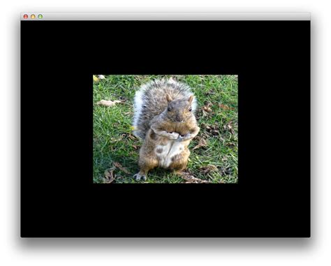 Opengl 101 Matrices Projection View Model Solarian Programmer
