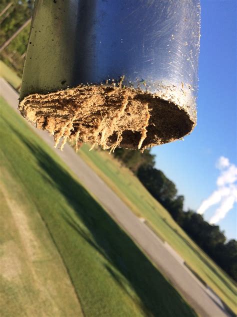 Robin Dufault Dufaultrobin Twitter