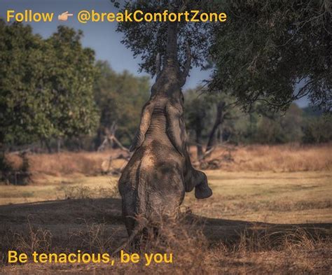 Follow Breakconfortzone Follow Breakconfortzone Follow