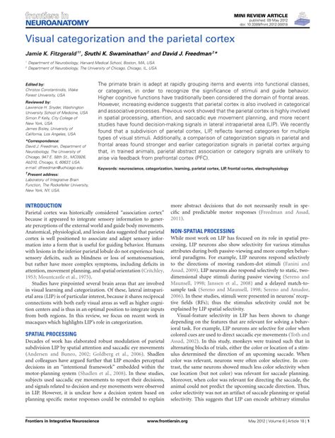 Pdf Visual Categorization And The Parietal Cortex
