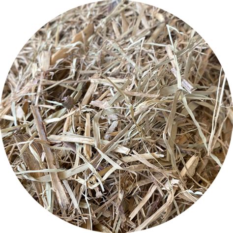 广西汇创牧业有限公司广西牧草种植收割
