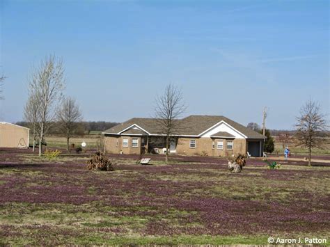 Henbit Purdue University Turfgrass Science At Purdue University