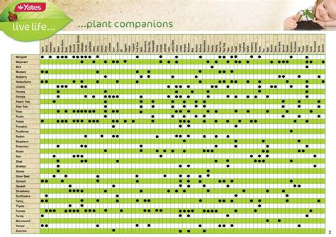 Plant Companions Chart Australia Pdf