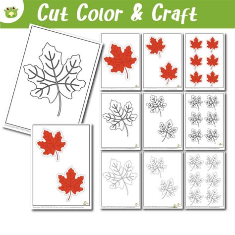 Maple Leaf Red Template Activity Set Cutting Coloring And Tracing For