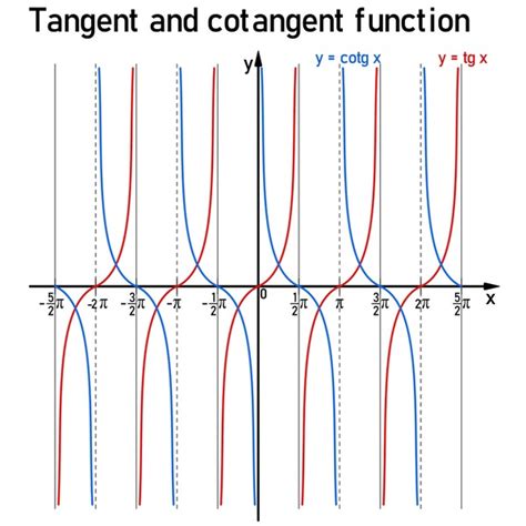 Cotan Graph