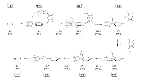 H20 Zu H2o2 Mechanismus