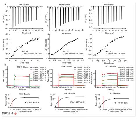 分子互作大比拼，spr、itc、mst、bli，谁才是最强王者？ Medchemexpress Mce 知乎