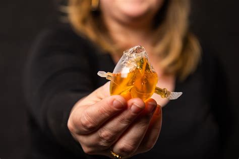 How To Eat Jelly Fruit Candy