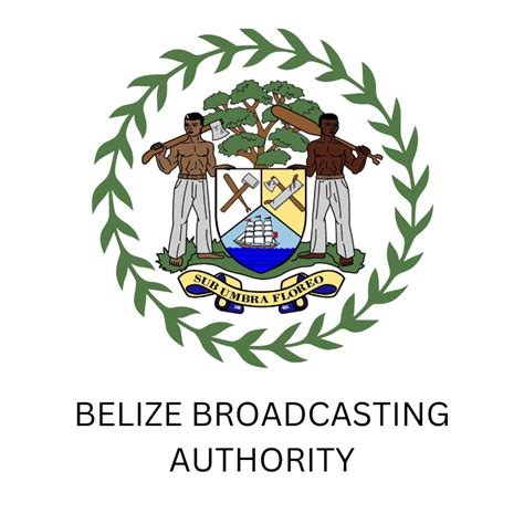 Home About Applications Terms Broadcasters Complaint Contact
