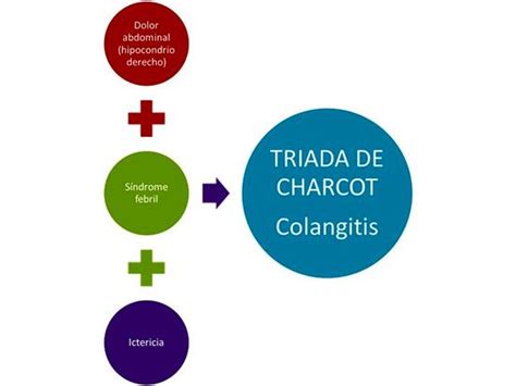 Samters Tríada Tratamiento Síntomas Prevención Y Más Consejo Del