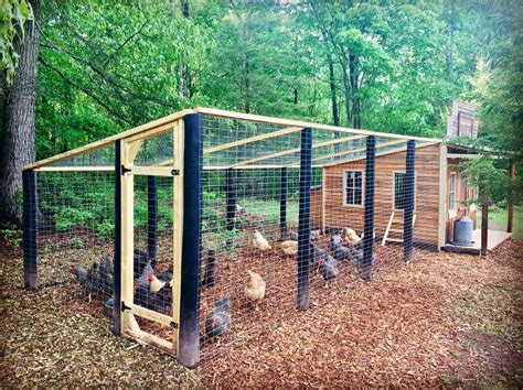 Chicken Run Enclosure Ideas At Brenda Norris Blog