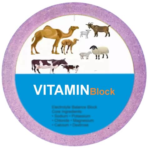 Vitamin Block At ₹ 65piece In Churu Id 2854738911091