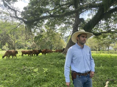 This Colombian Hotel For Cows Could Help Reduce Deforestation In The