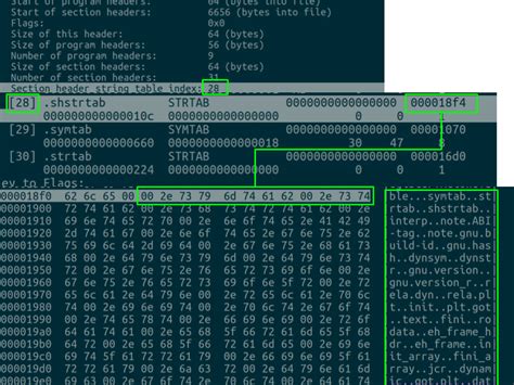 Introduction To The Elf File Format Part Iii The Section Headers