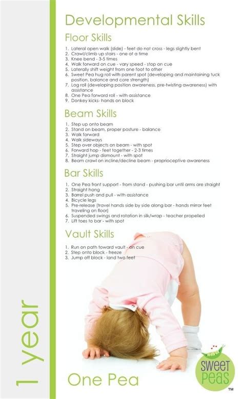 Curriculum Boards