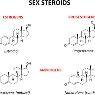 Chemical Structures Of The Main Male And Female Sex Hormones And The