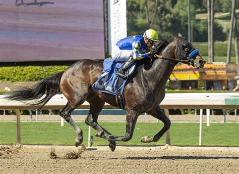 Not This Times Goal Oriented Ticks Maiden Box At Santa Anita Earns