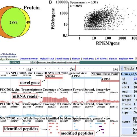 Comparison And Integration Of Proteomics And Transcriptomics Data A Download Scientific