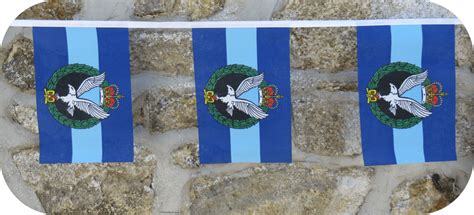 Army Air Corps Aac Flag Bunting