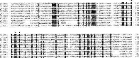 Figure 1 From A Catalytic Consensus Motif For D Mannitol 2 Dehydrogenase A Member Of A Polyol