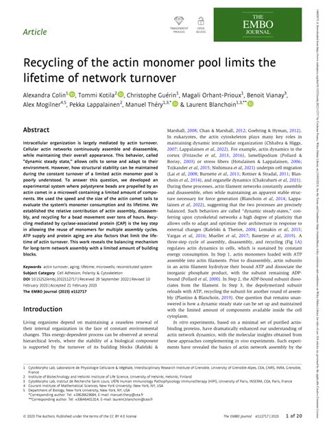 Pdf Recycling Of The Actin Monomer Pool Limits The Lifetime Of