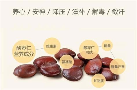 酸枣仁的功效与作用及食用方法，一文详细告诉你