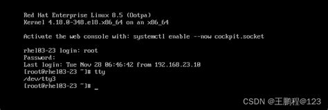 rhel8基础命令的使用 redhat8怎么打开终端 csdn博客