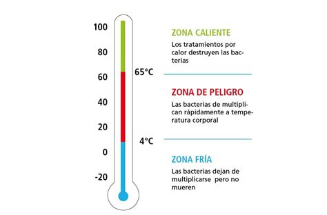 Hoja De Registro De Temperatura De Alimentos Según El Sistema Haccp