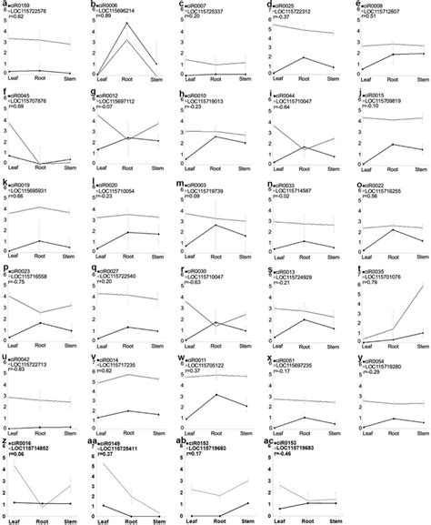 Relationship Between The Exonic Circrnas And Their Pgs Aac The